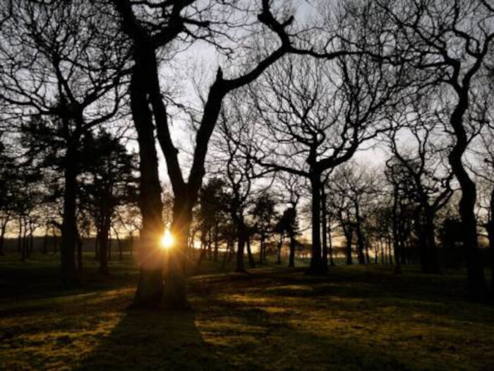 FVO Homepage - Forth Valley Orienteers